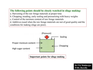 Fodder conservation pijush kanti mukherjee (icar-ivri) | PDF