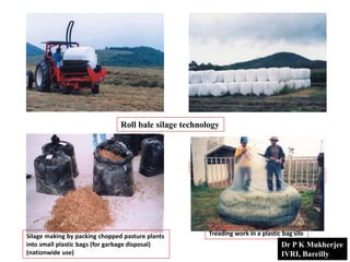 Fodder conservation pijush kanti mukherjee (icar-ivri) | PDF