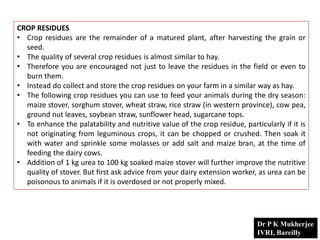 Fodder conservation pijush kanti mukherjee (icar-ivri) | PDF