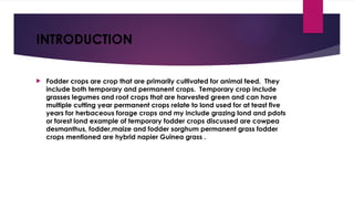 FODDER CROP for Msc 3rd semin Botany PPT | PPT