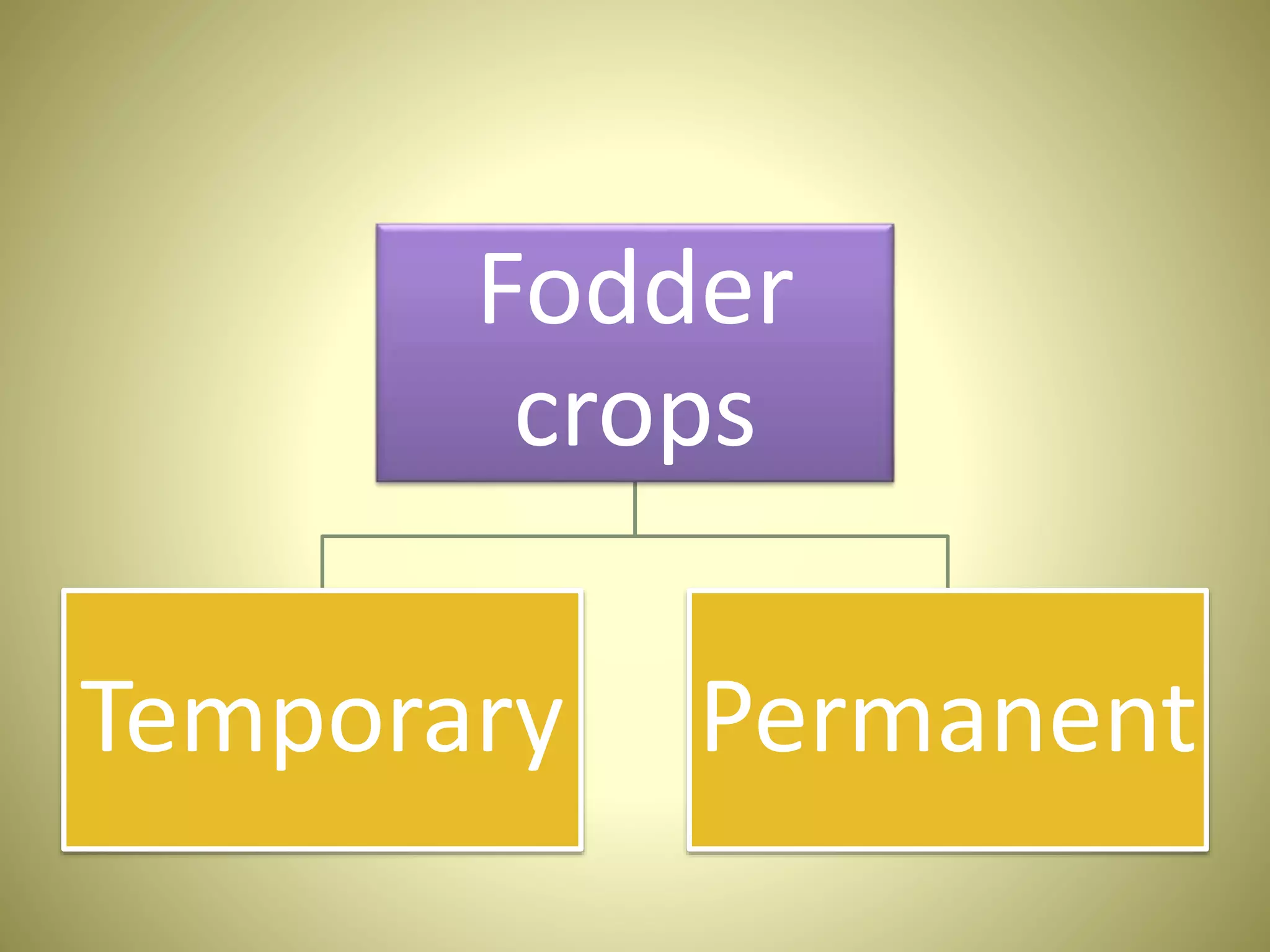 Fodder crops | PPTX