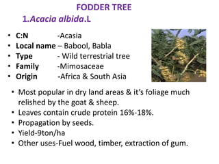 Fodder crops for conservation in Sri Lanka | PPTX