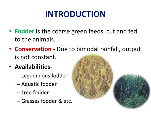 Fodder crops for conservation in Sri Lanka | PPTX