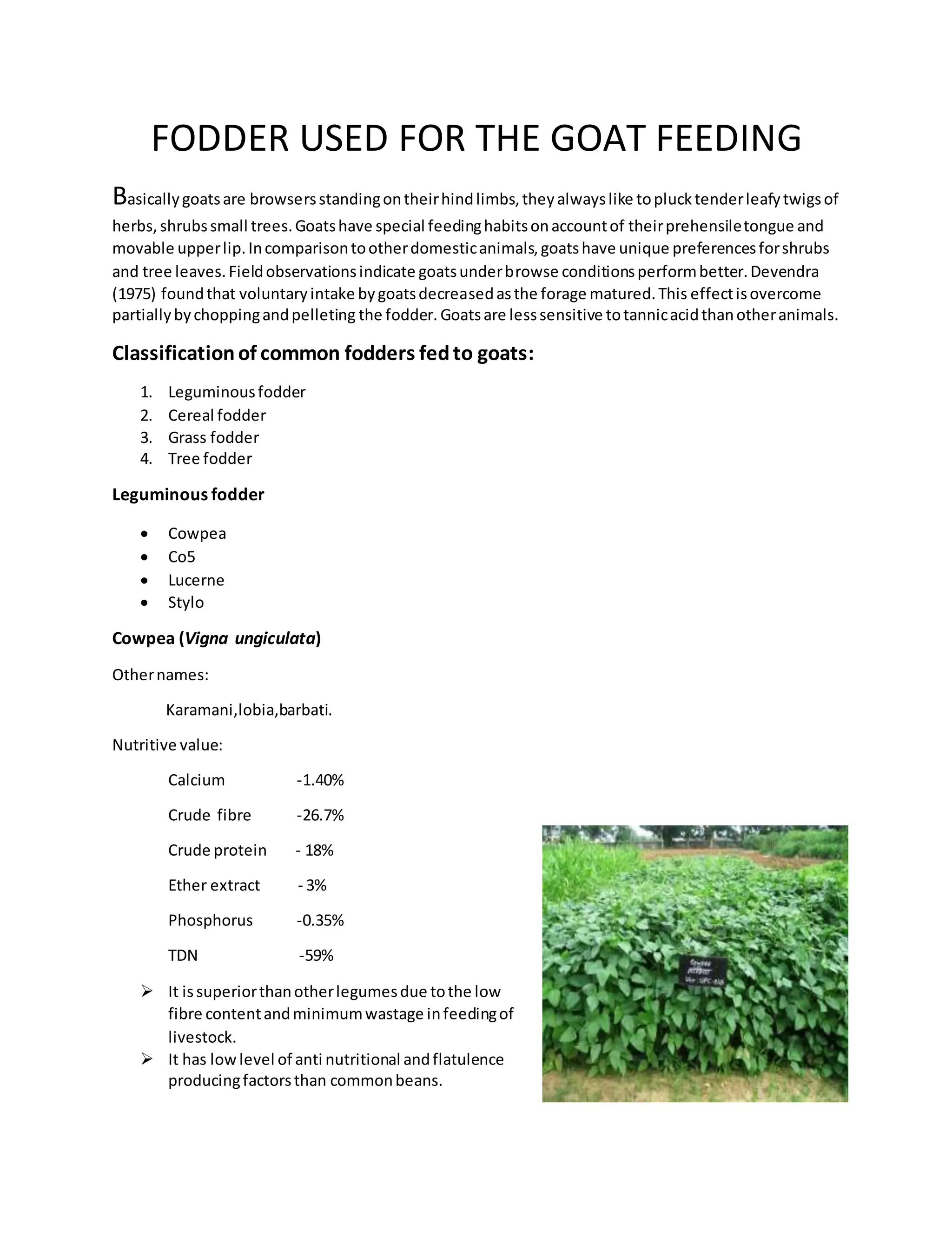 Fodder for goat feeding | DOCX