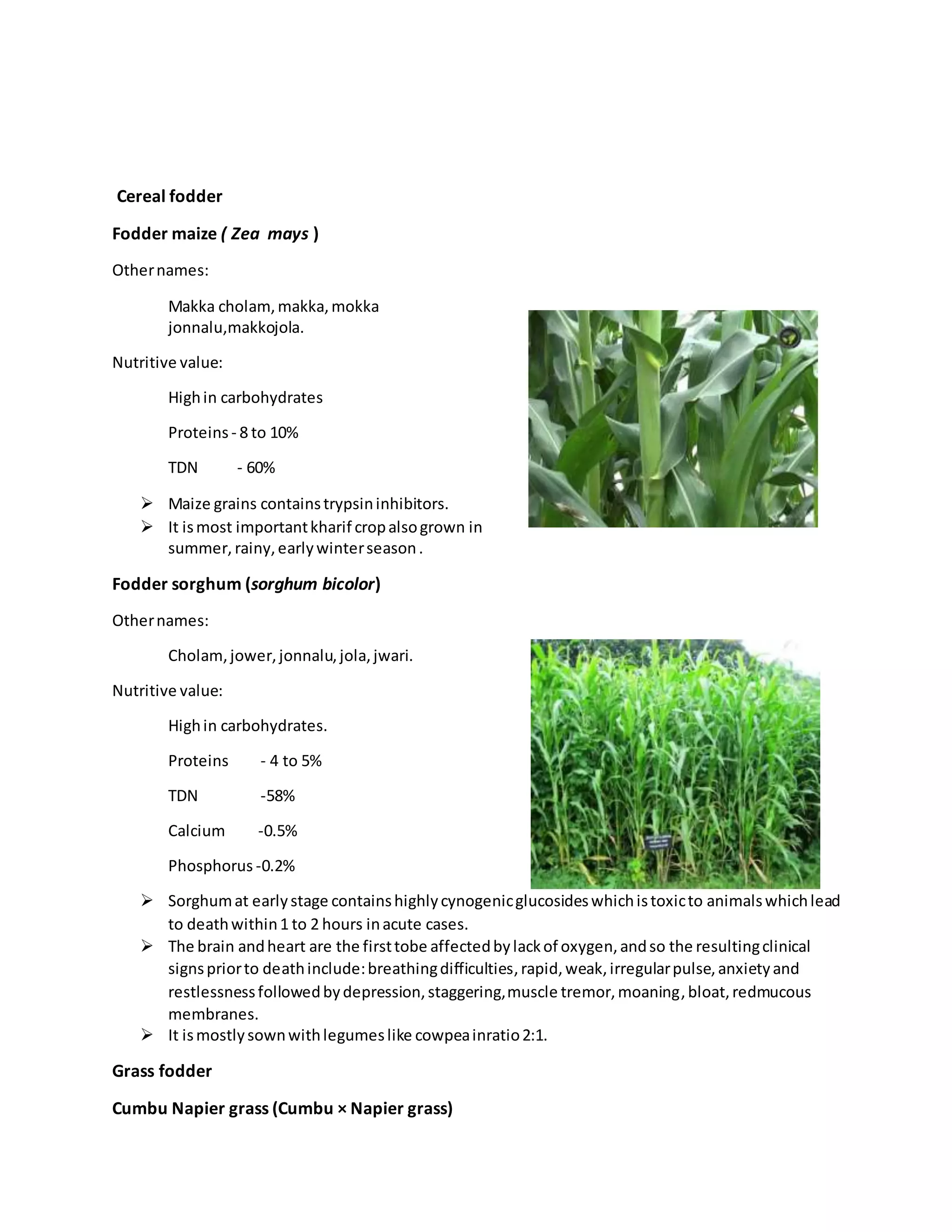 Fodder for goat feeding | DOCX