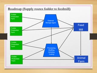 Supply Chain Fodder | PPTX