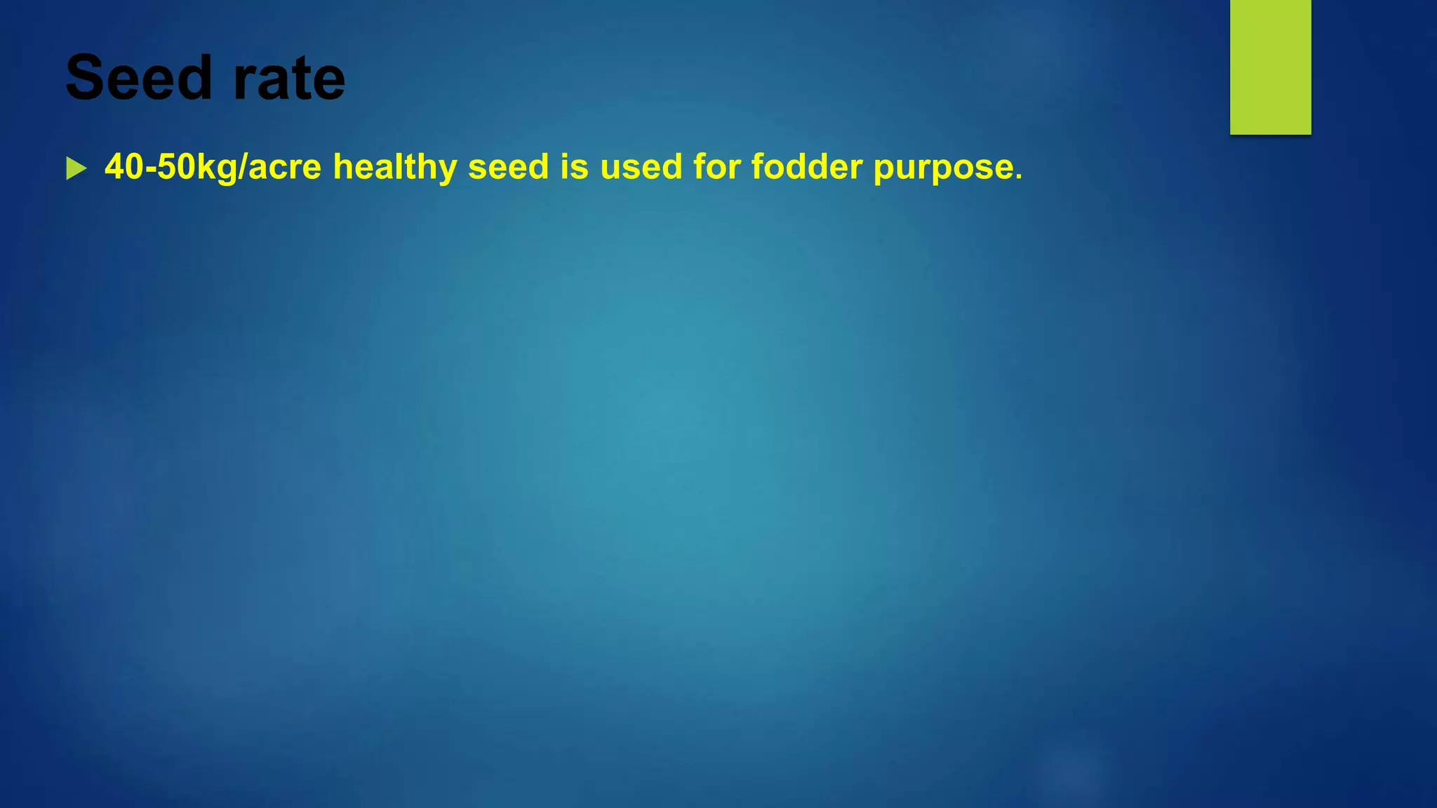 Fodder maize slidshare | PPTX