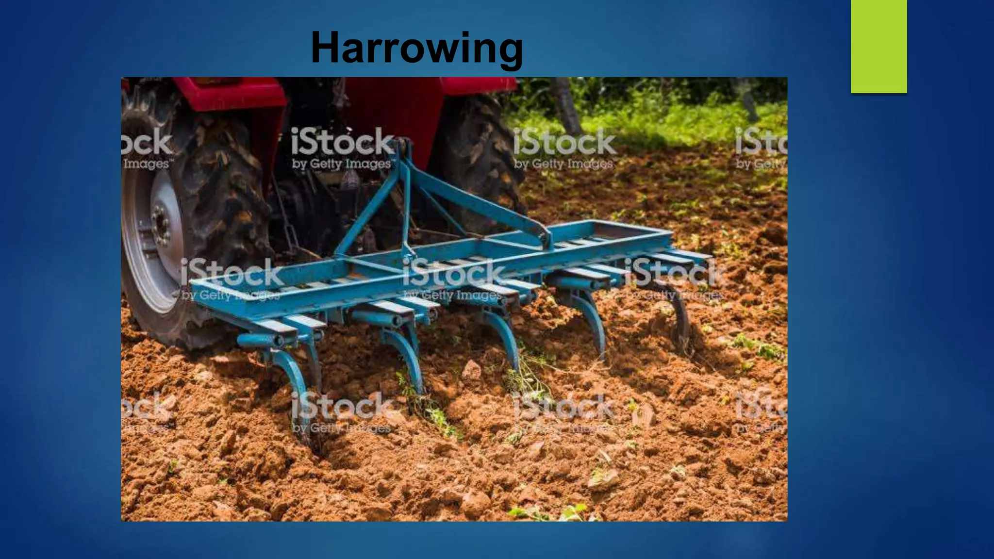 Fodder maize slidshare | PPTX