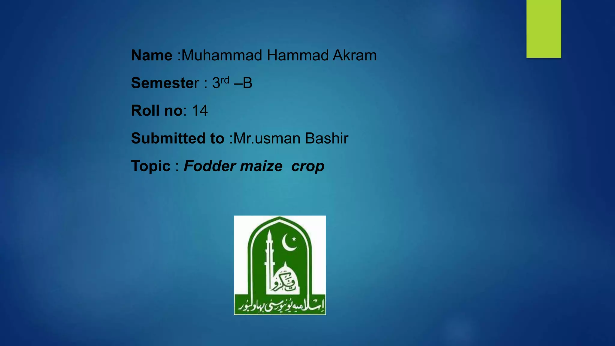 Fodder maize slidshare | PPTX