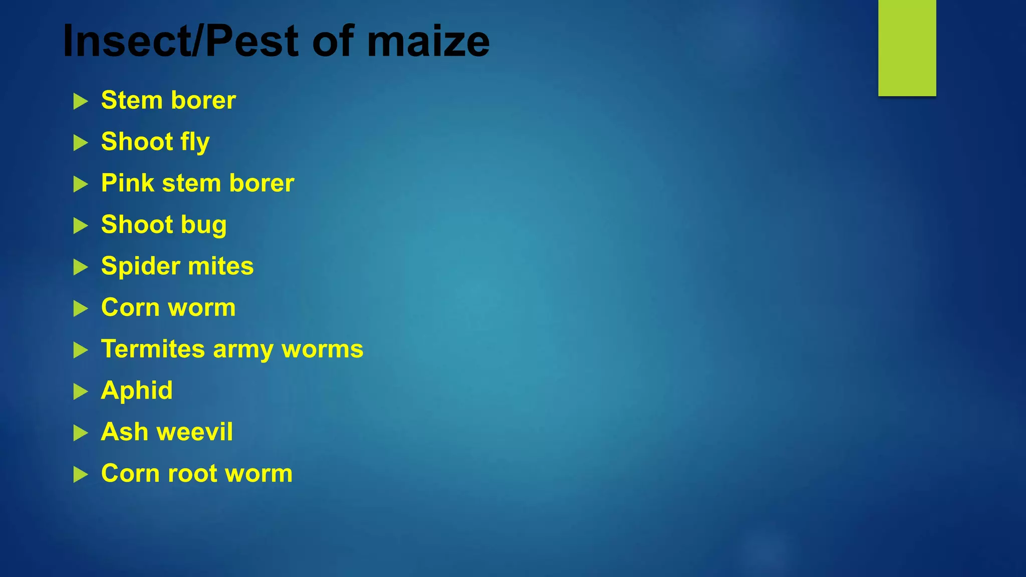 Fodder maize slidshare | PPTX