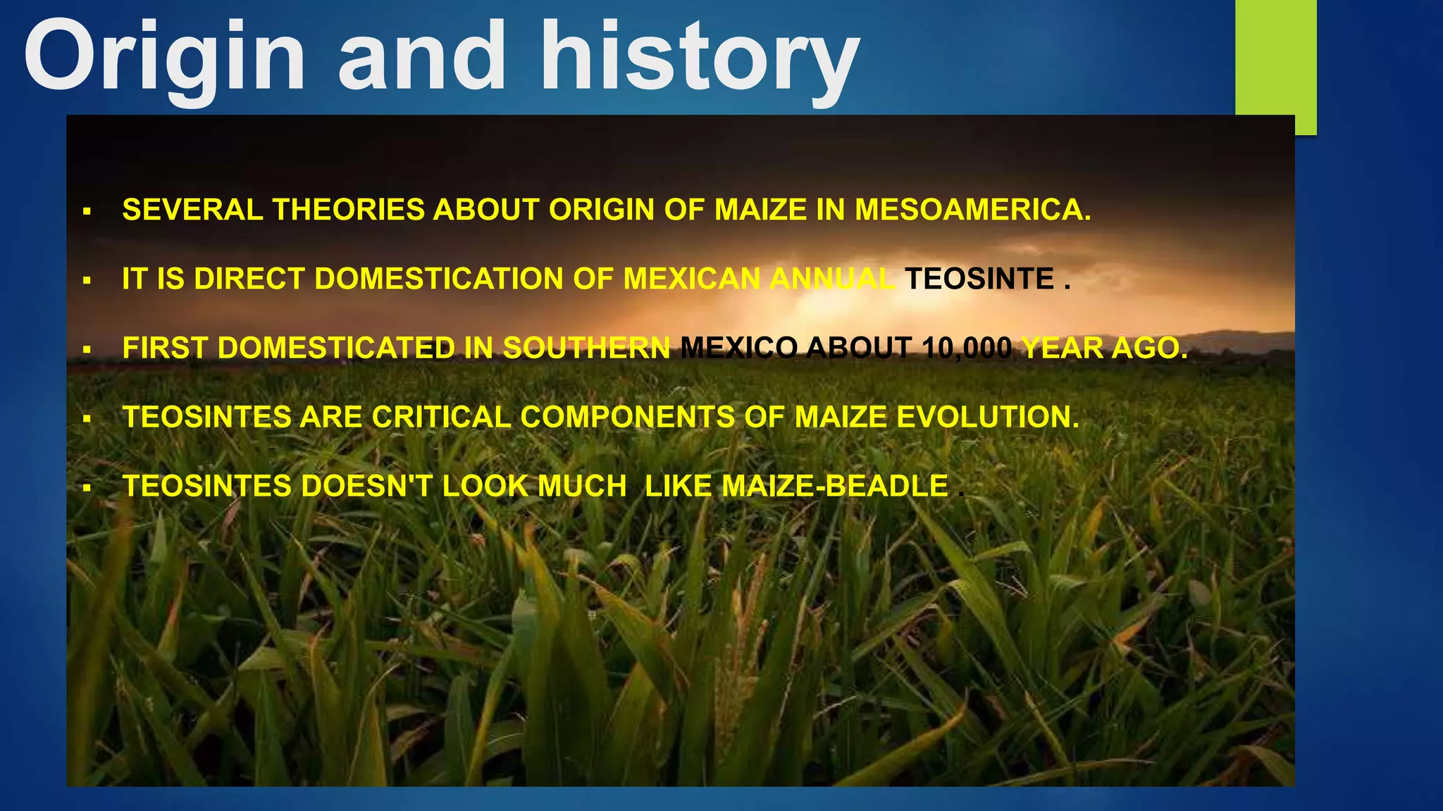 Fodder maize slidshare | PPTX