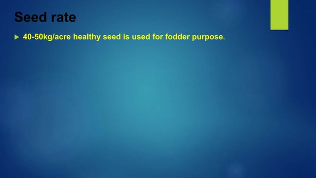 Fodder maize slidshare | PPT