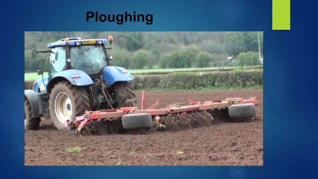 Fodder maize slidshare | PPTX