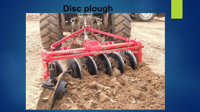 Fodder maize slidshare | PPTX