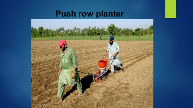 Fodder maize slidshare | PPTX