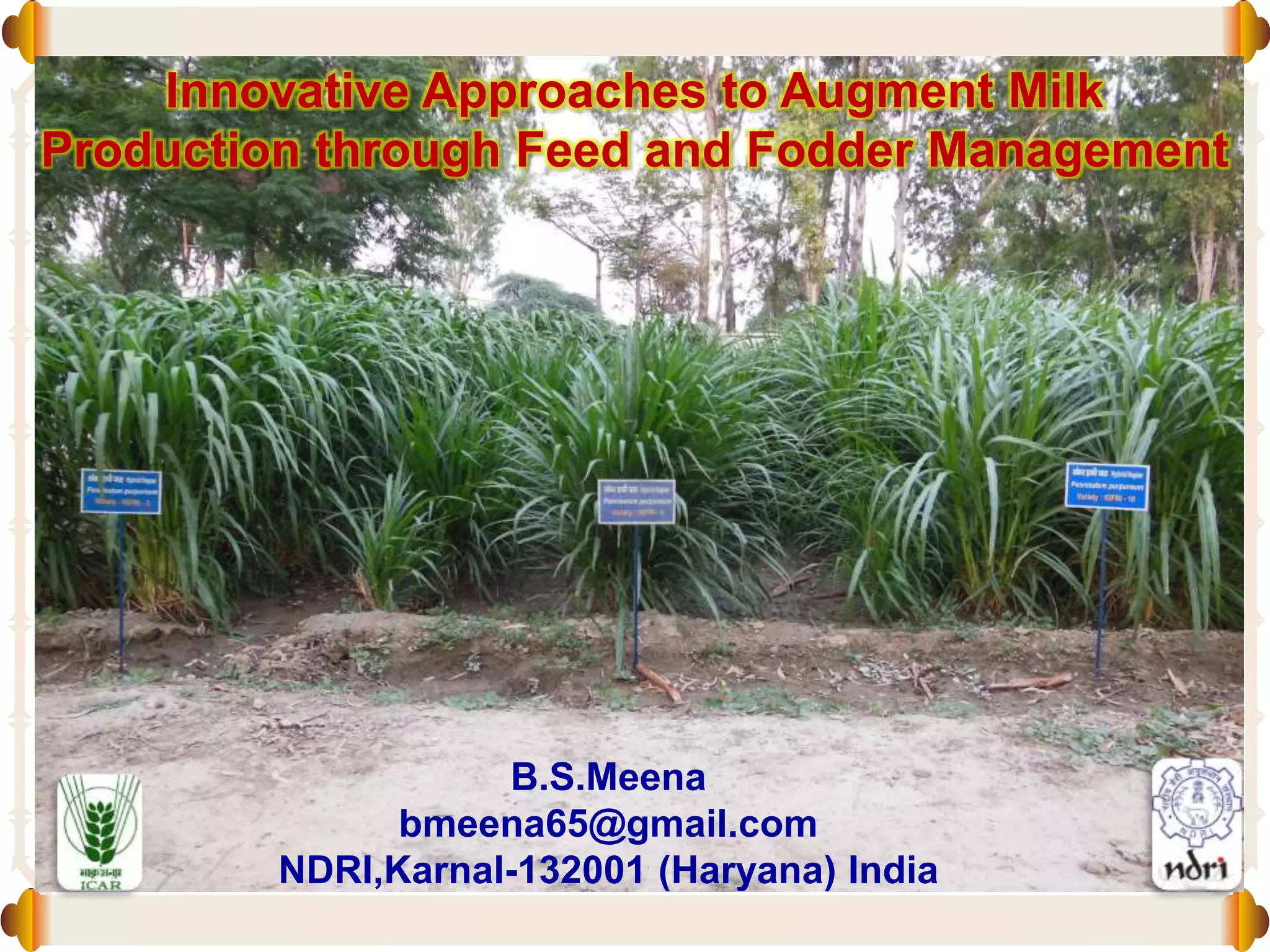 Fodder management for dairy farms | PPTX