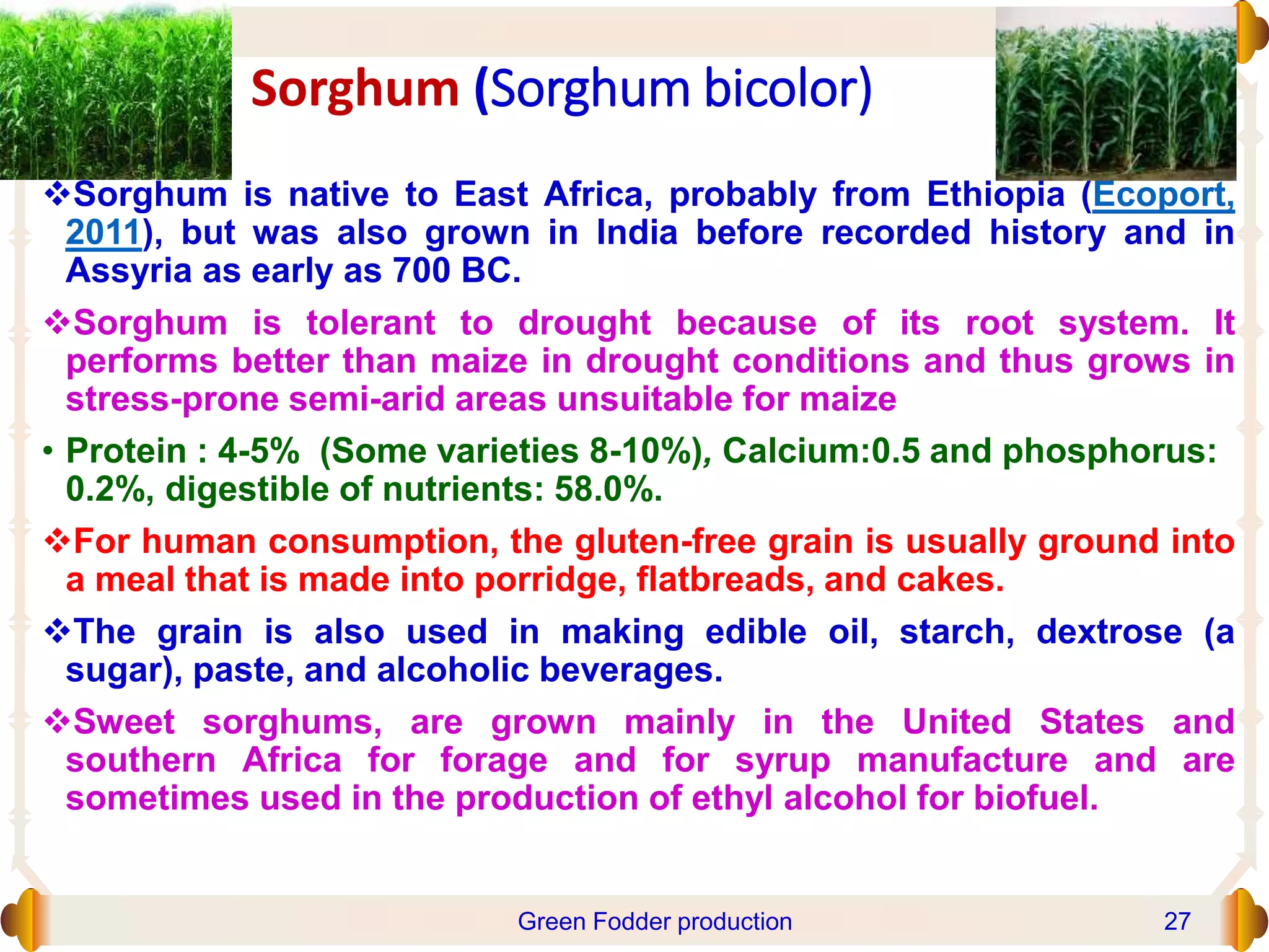 Fodder management for dairy farms | PPTX