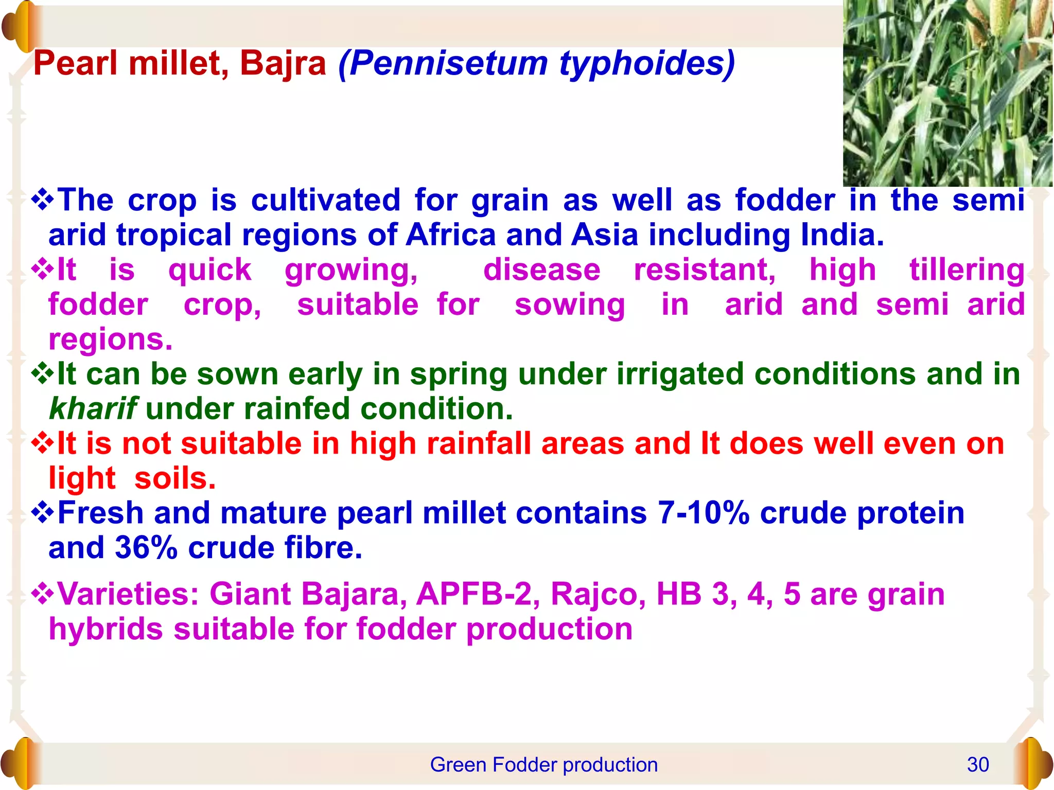 Fodder management for dairy farms | PPTX
