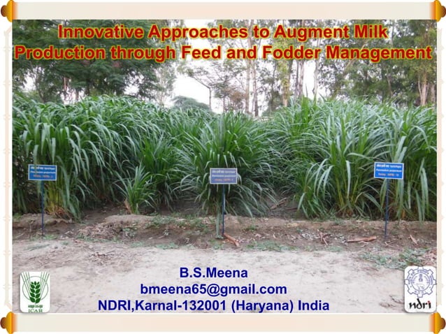 Fodder management for dairy farms | PPTX | Agriculture | Industries