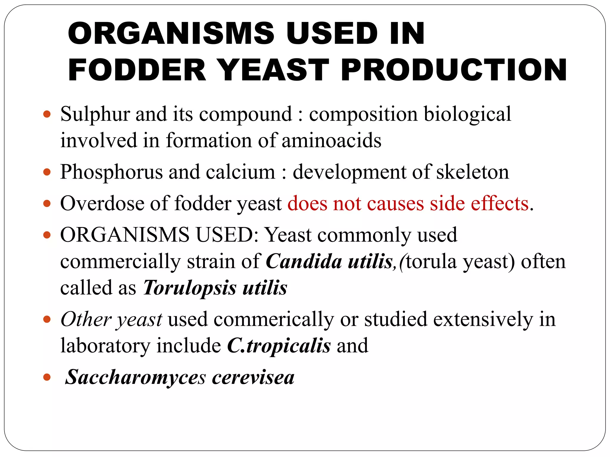 Fodder yeast production | PPTX