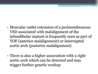 Foetal and perinatal cardiology 2.. | PPTX