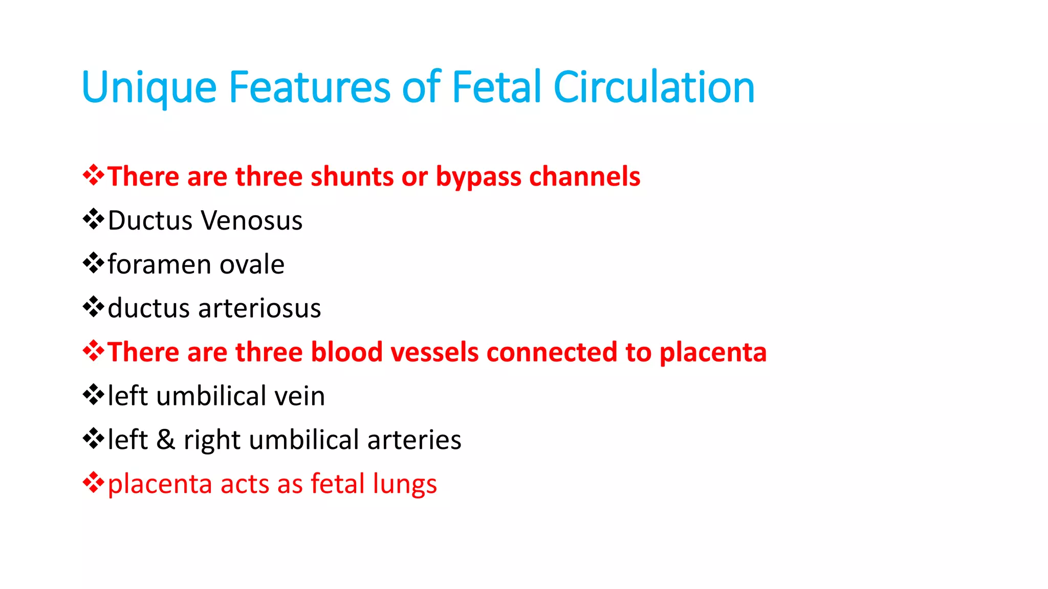 Foetal circulation | PPTX