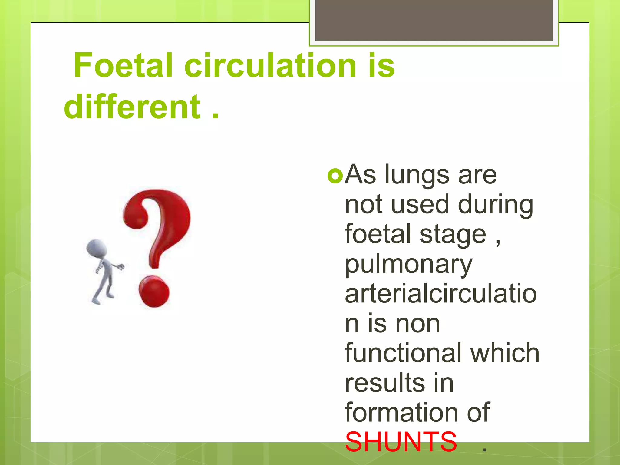 Foetal Circulation.pptx