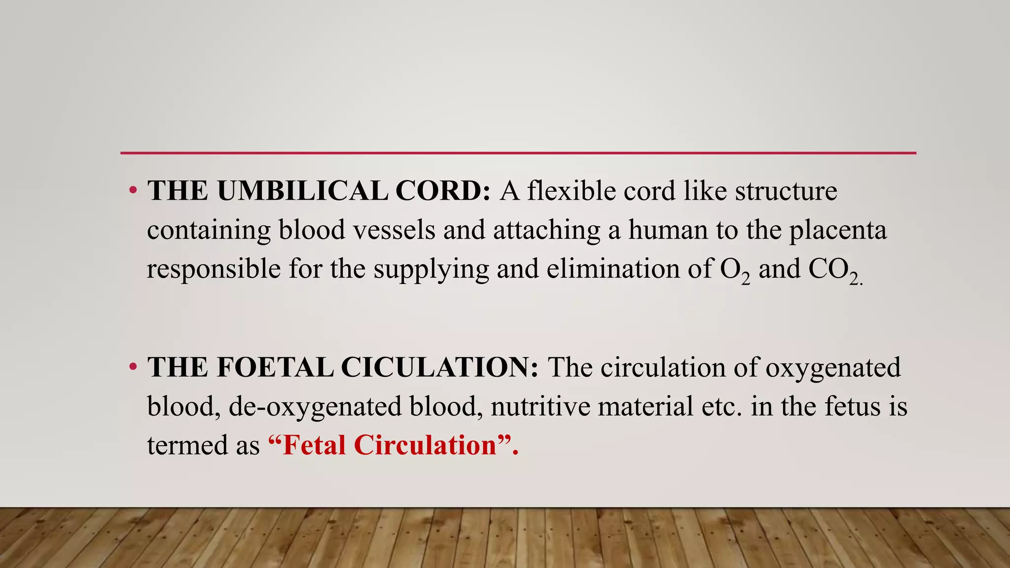 FOETAL CIRCULATION.pdf