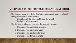 FOETAL CIRCULATION.pdf