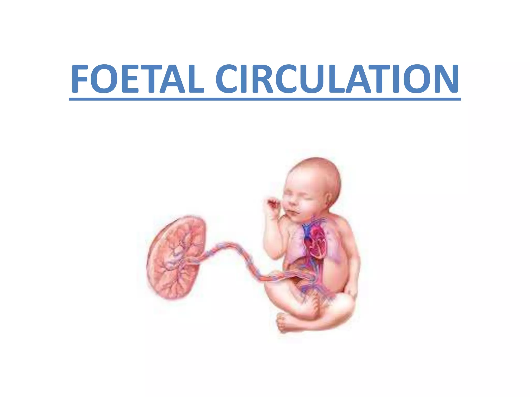 Foetal circulation,persistent pulmonary hypertension of the newborn | PPTX
