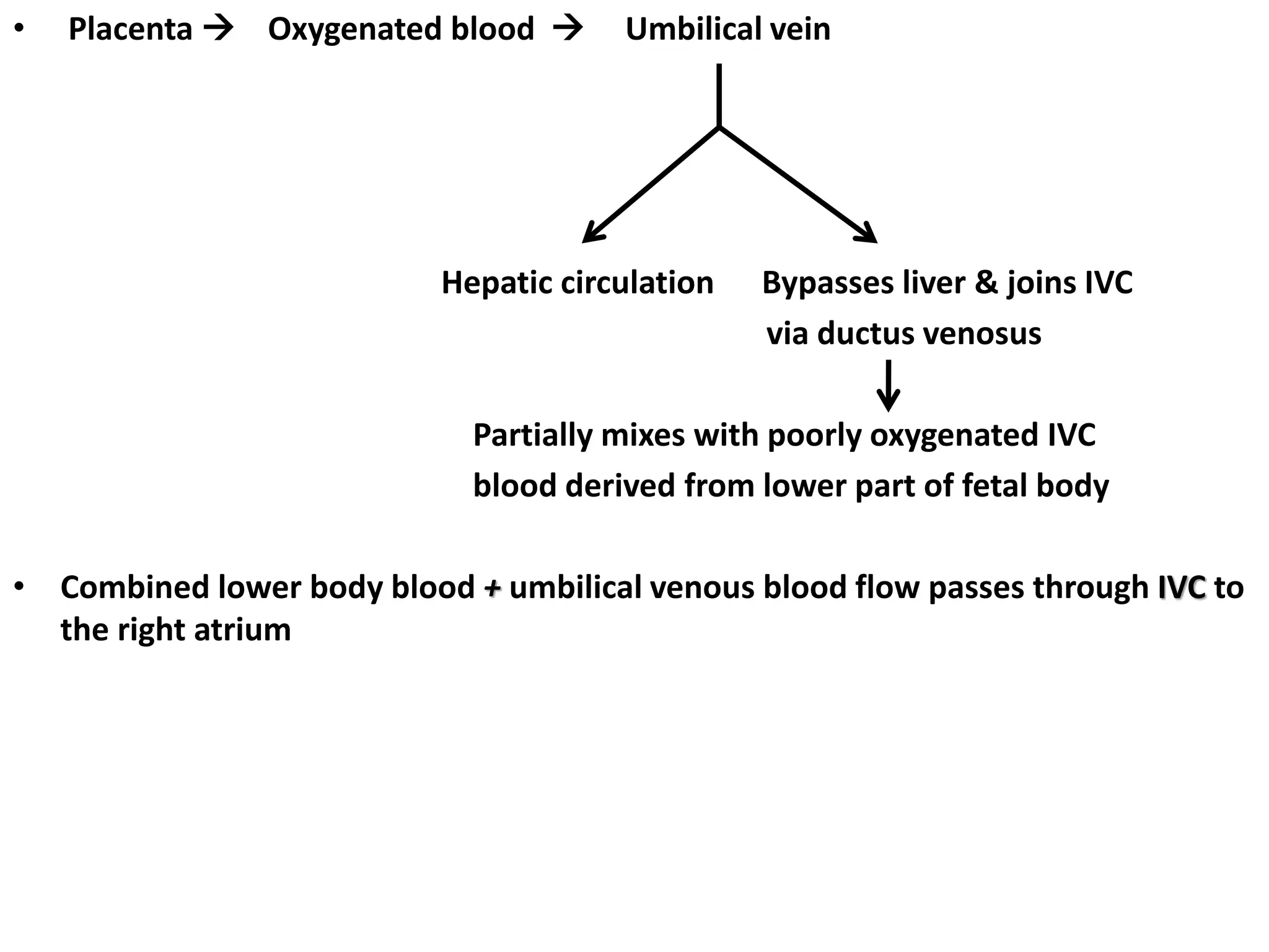 Foetal circulation,persistent pulmonary hypertension of the newborn | PPTX