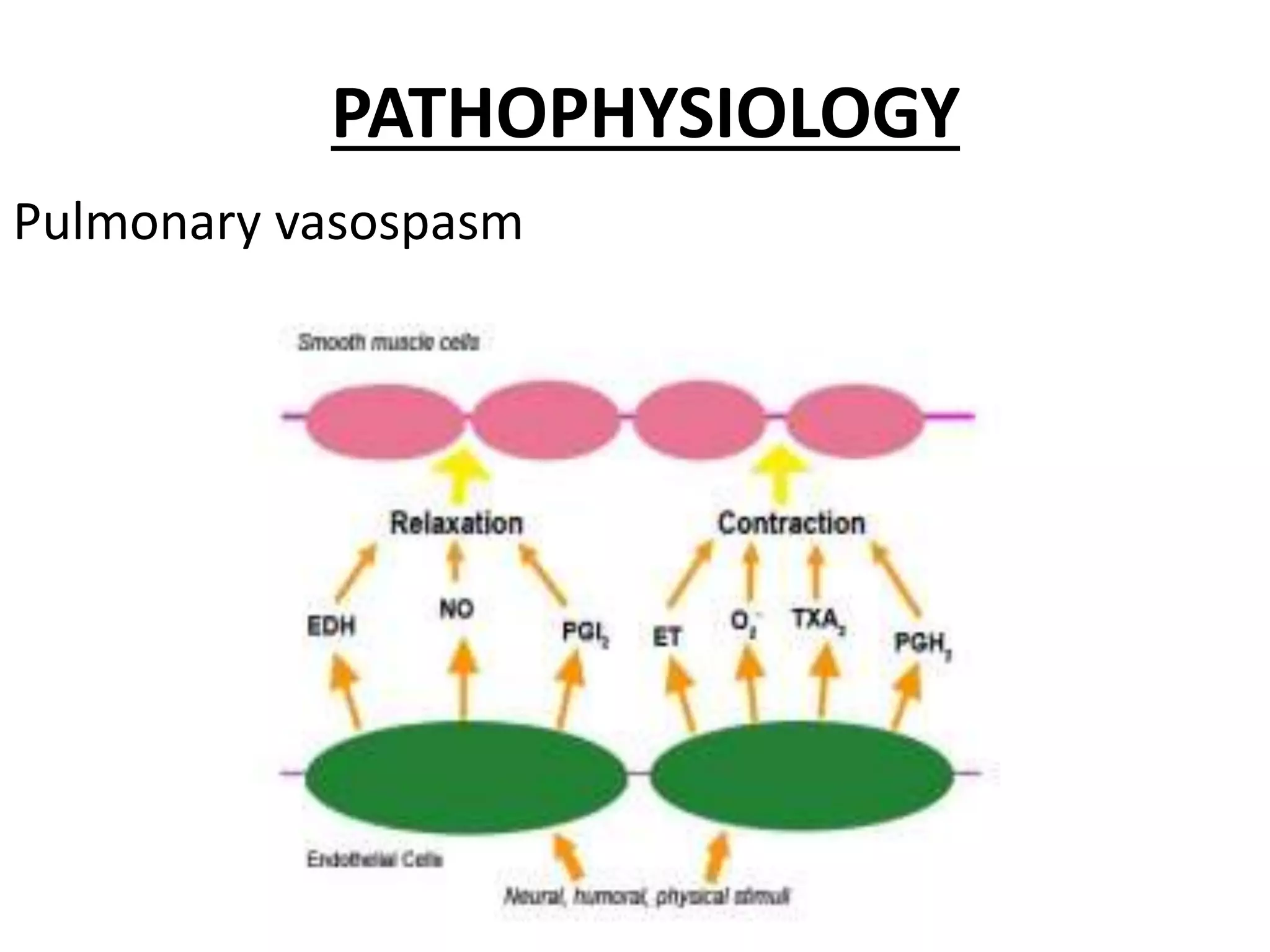 Foetal circulation,persistent pulmonary hypertension of the newborn | PPTX