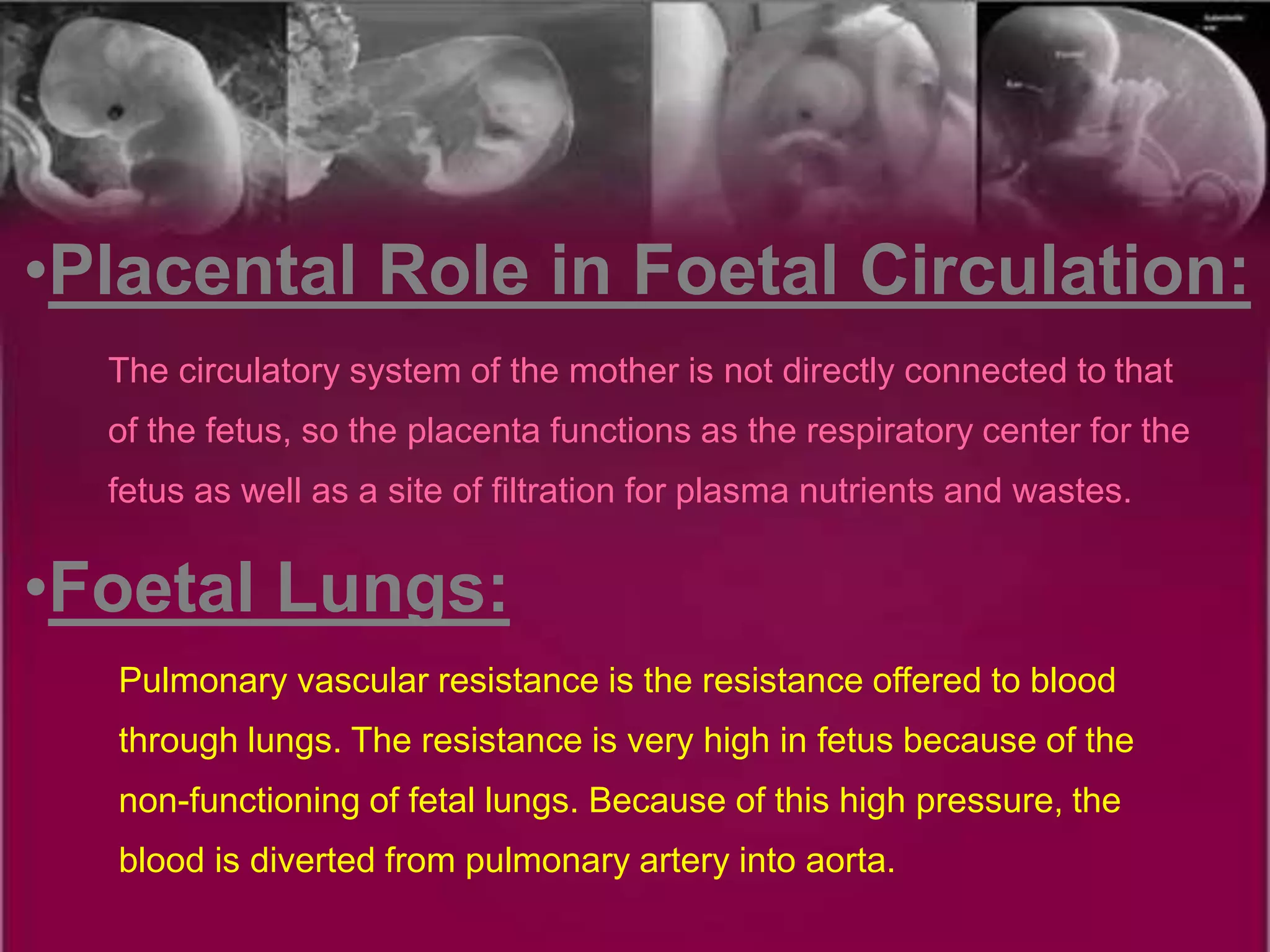 Foetal circulation ppt | PPTX