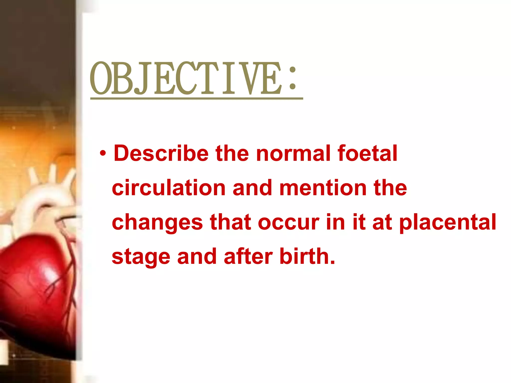 Foetal circulation ppt | PPTX