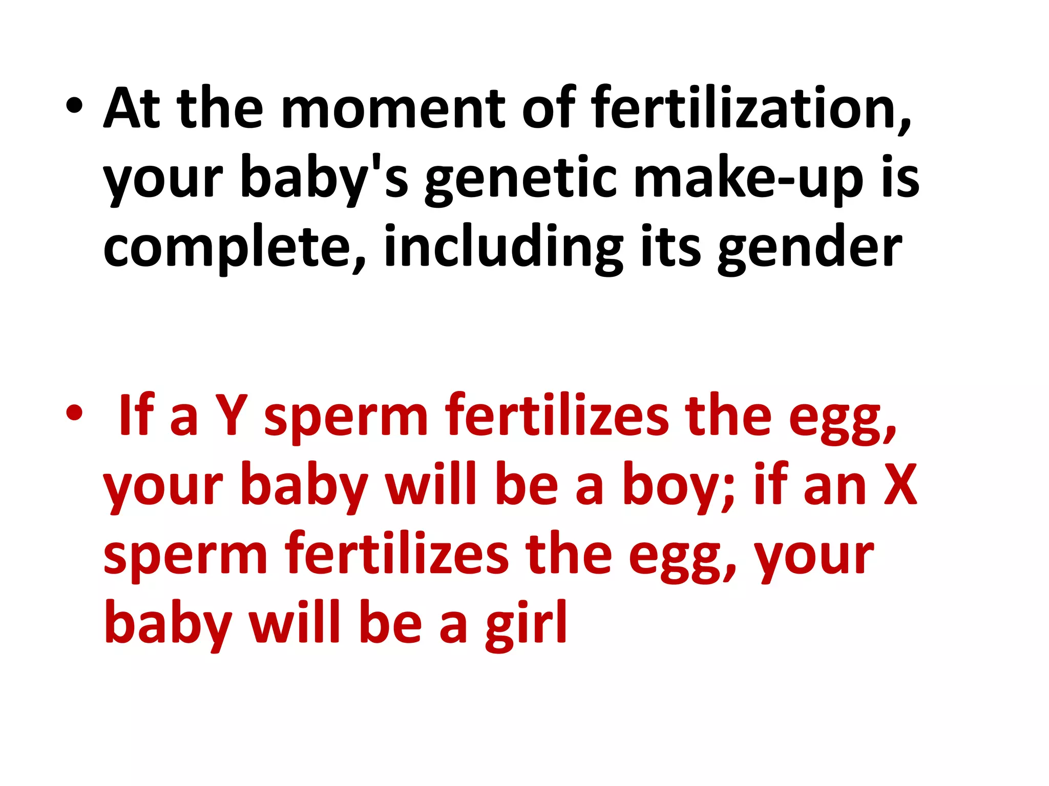 FOETAL DEVELOPMENT - OUTLINE | PPTX