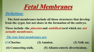 foetal membranes development . embryological study | PPT