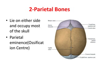 Foetal Skull Anatomy | PPTX