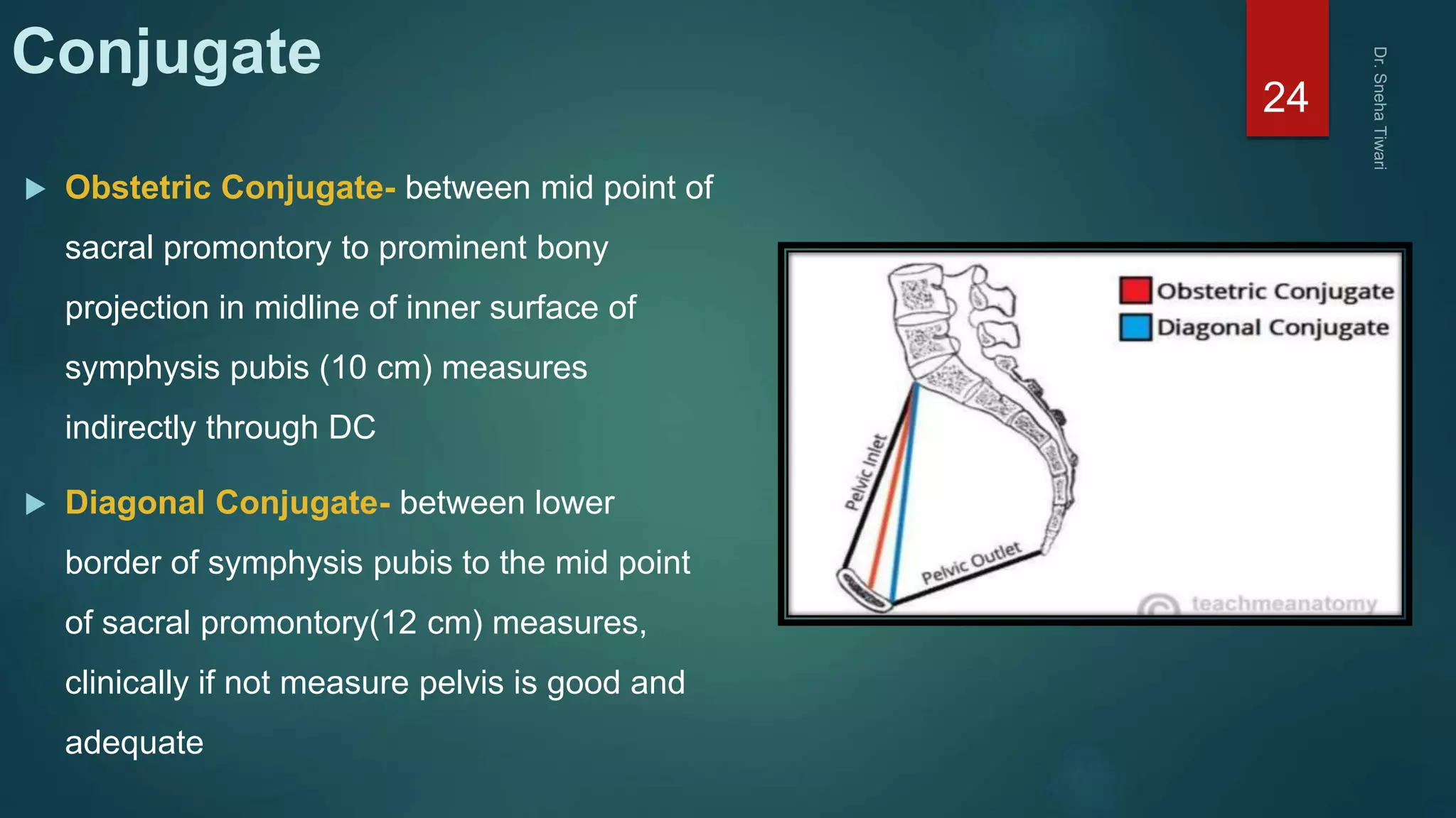 Foetal skull and maternal pelvis | PPTX
