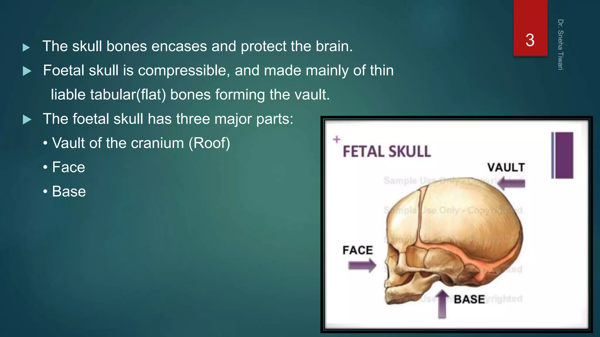 Foetal skull and maternal pelvis | PPTX