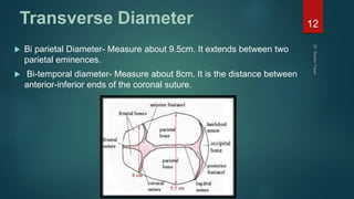 Foetal skull and maternal pelvis | PPTX