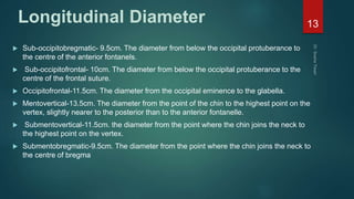 Foetal skull and maternal pelvis | PPTX