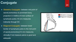 Foetal skull and maternal pelvis | PPTX