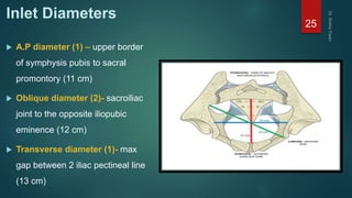 Foetal skull and maternal pelvis | PPTX