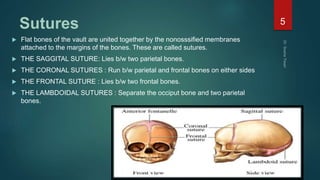 Foetal skull and maternal pelvis | PPTX