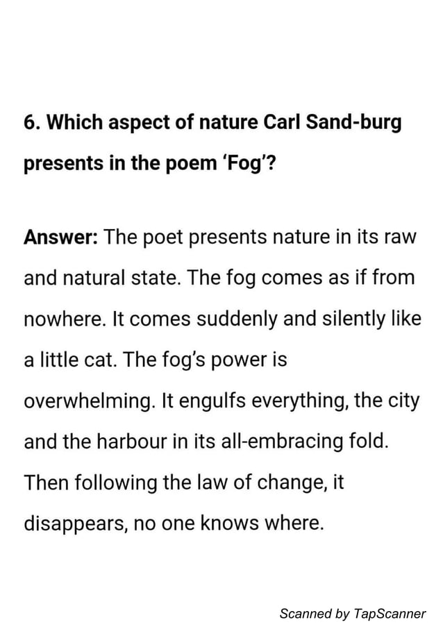 Fog Questions and Answers | PDF