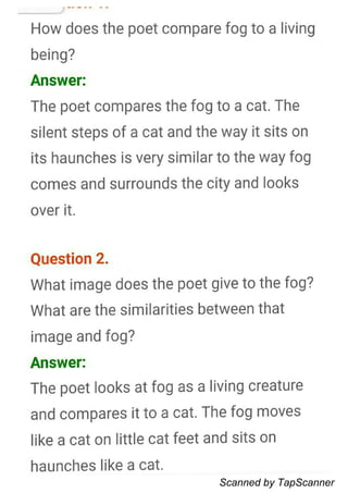 Fog Questions and Answers | PDF | Business | Business and Finance