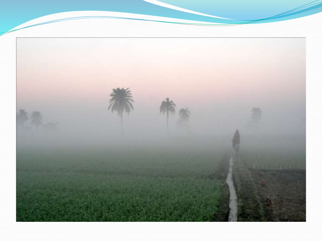 What is Fog and Mechanism | PPTX | Weather | Science