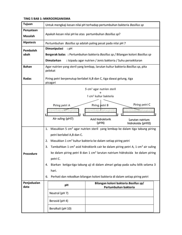 FOKUS EKSPERIMEN ESEI NO 11 SPM 2022.pdf