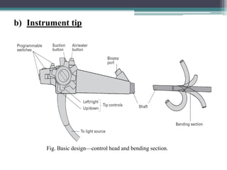 FOL fibre optic laryngoscopy for ear nose and throat.pdf