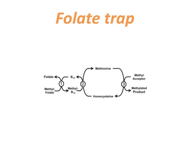 Folate